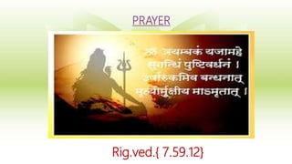 yoga SHALABHASANA asasna LNIPE | PPTX