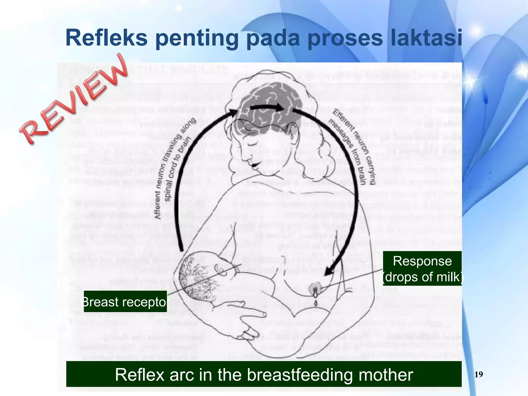 LAKTASI | PPT