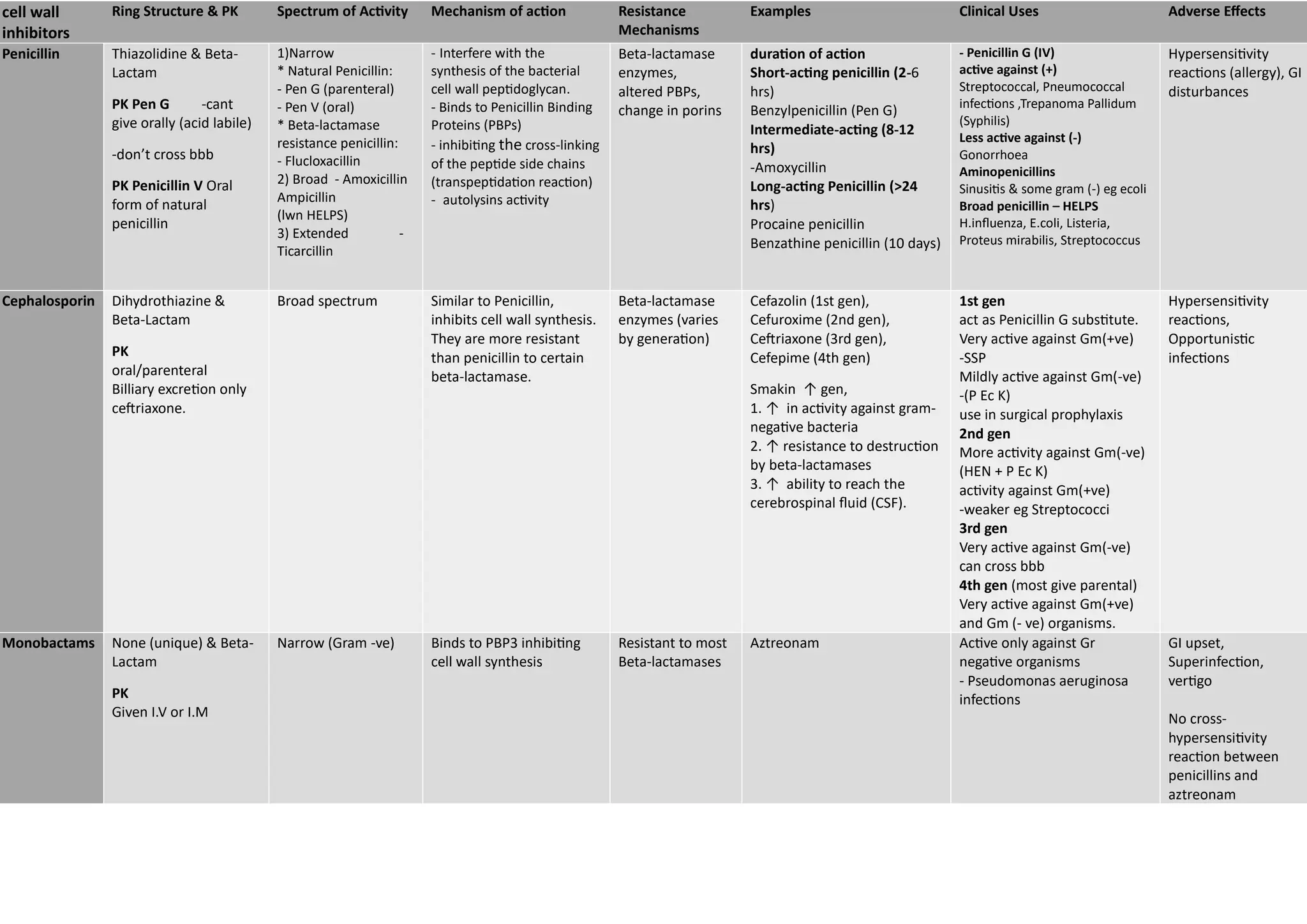 pharmacology - Protein Synthesis Inhibitors | DOCX