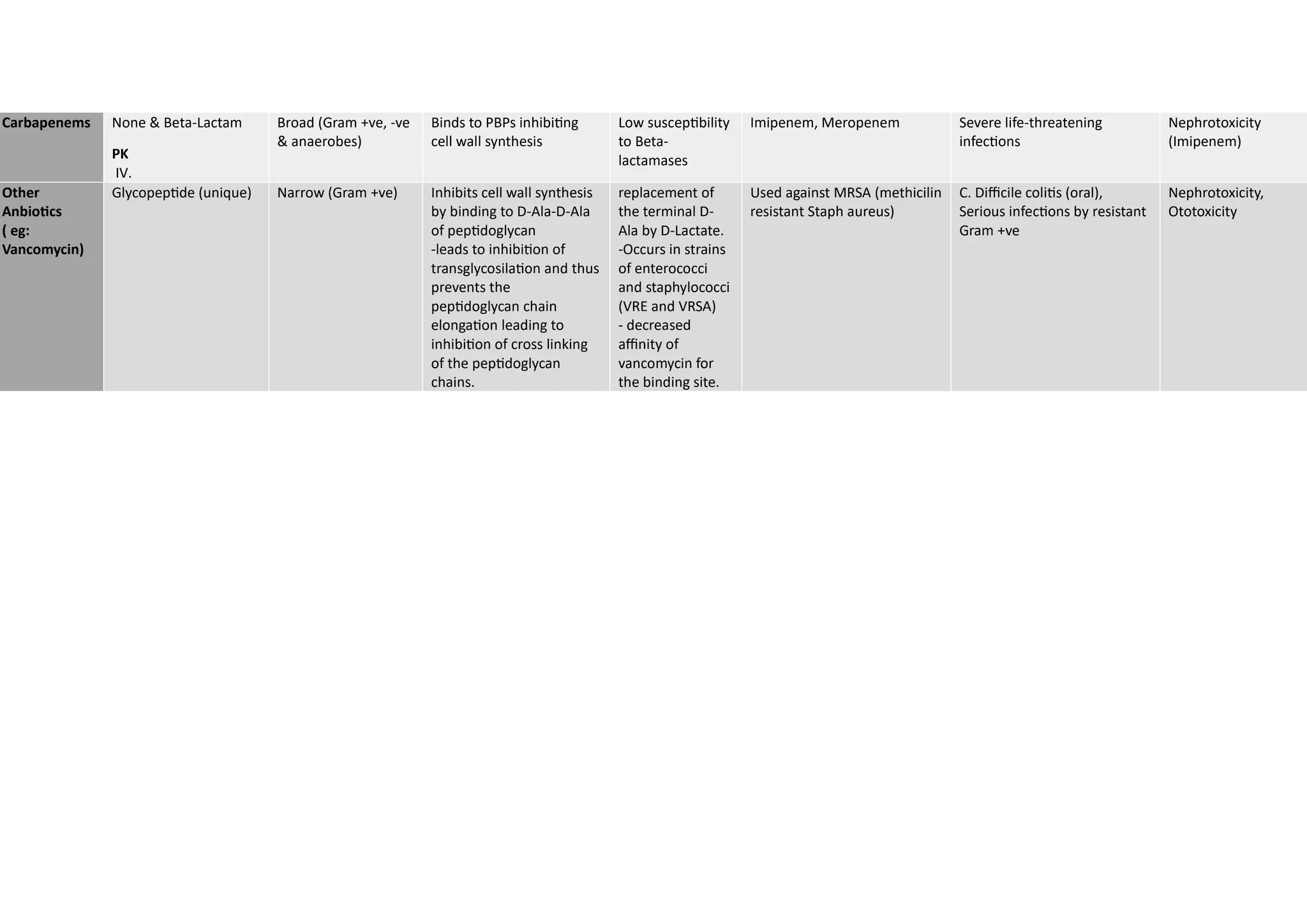 pharmacology - Protein Synthesis Inhibitors | DOCX