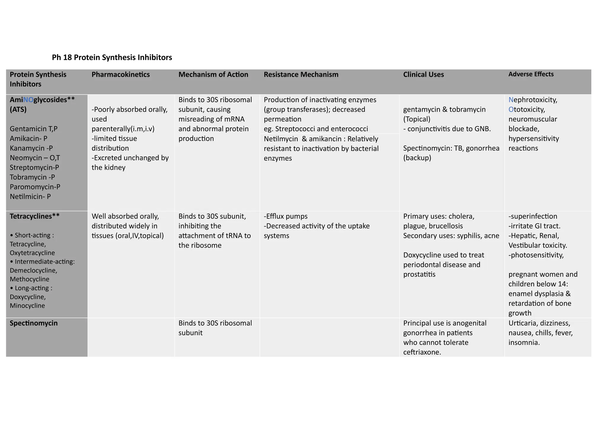 pharmacology - Protein Synthesis Inhibitors | DOCX