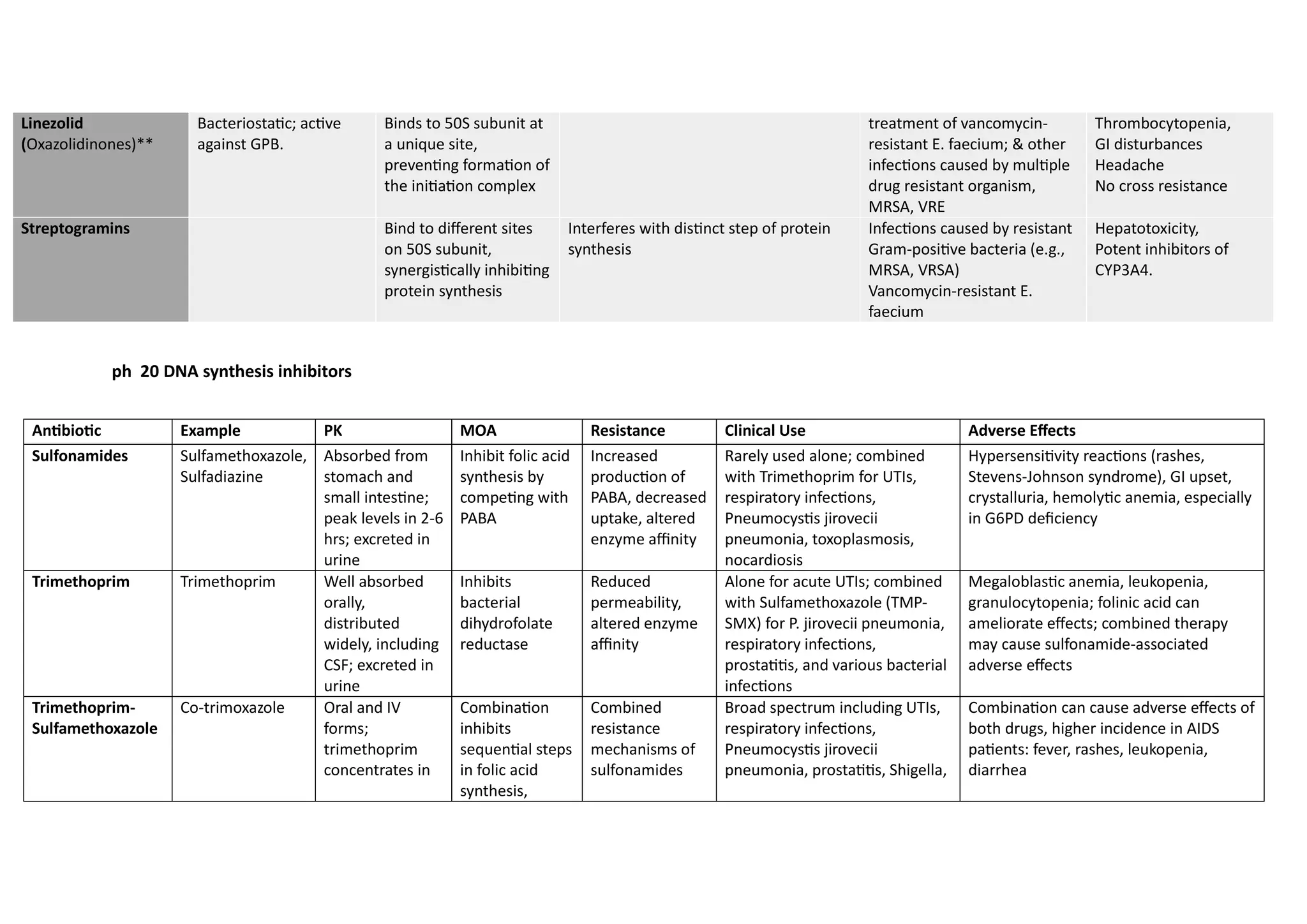 pharmacology - Protein Synthesis Inhibitors | DOCX