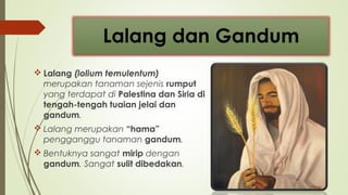 Perumpamaan Lalang dan gandum | PPT