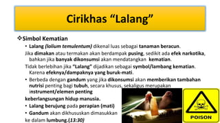 Perumpamaan Lalang dan gandum | PPT