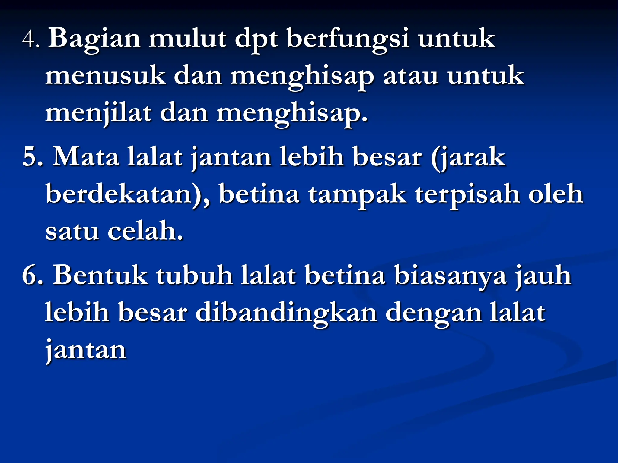lalat.ppt penjelasan tentang lalat banyak | PPT