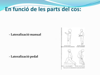 La Lateralitat | PPT