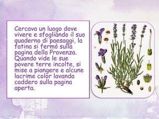 La lavanda | PPTX
