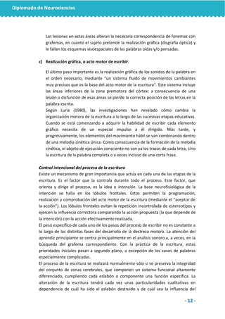 LA LECTOESCRITURA Y EL PROCESO LECTOR | PDF