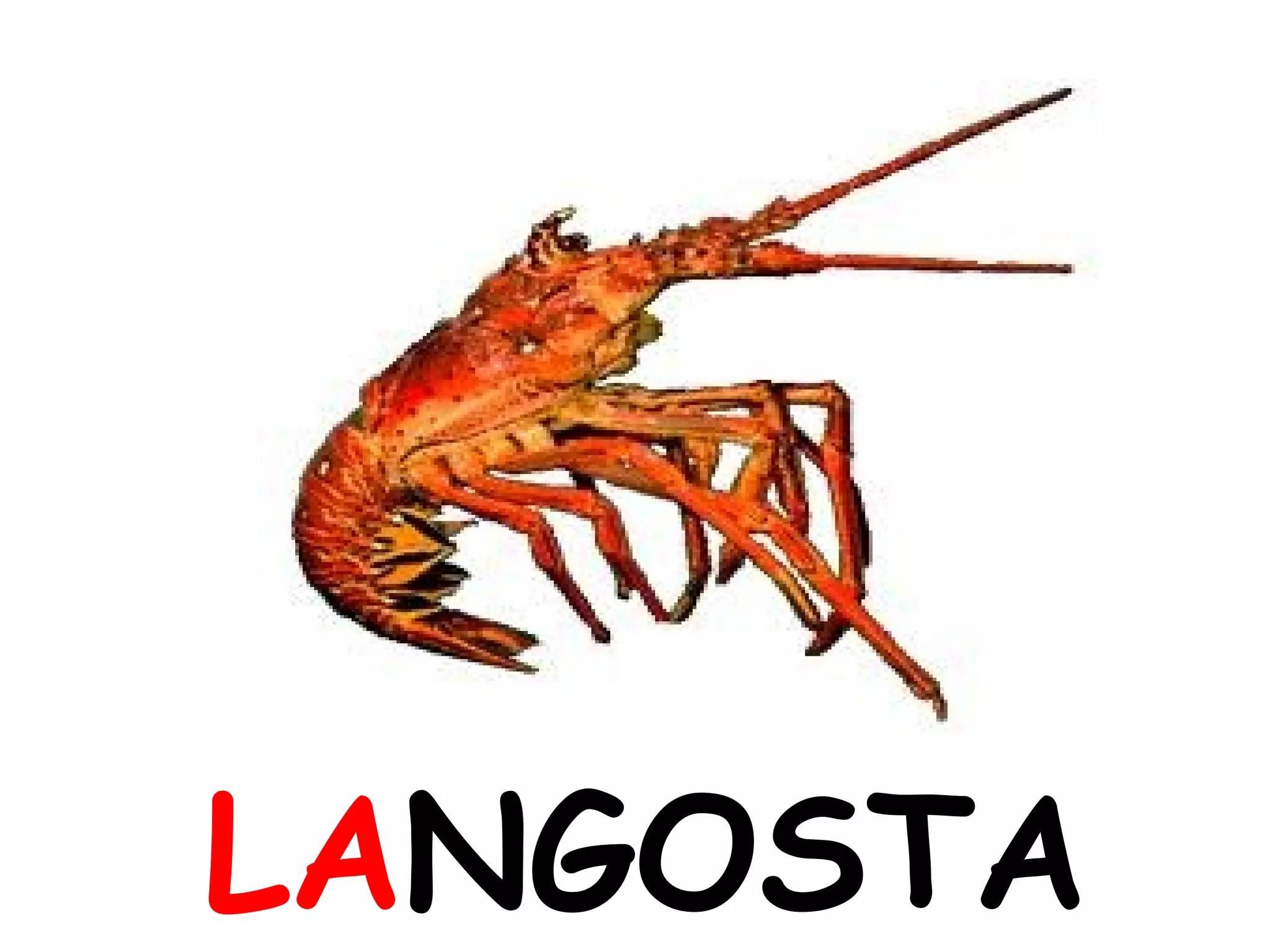 LECTOESCRITURA. LA LETRA L | PPS