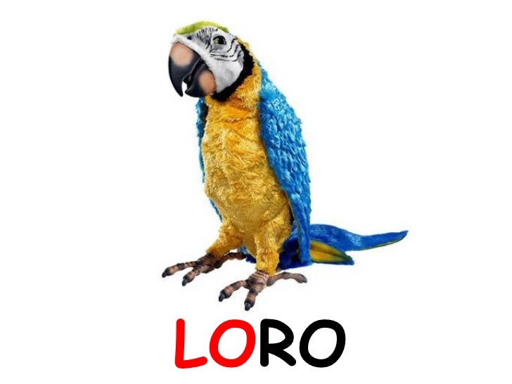 Objetos por la l - Imagui