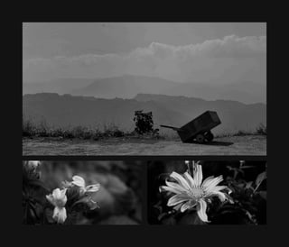 Photo Book - A day at durtlang & selesih by Lalengzuala | PDF