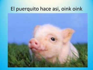 La letra de vengan a ver mi granja | PPTX