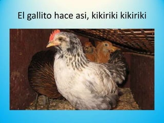 La letra de vengan a ver mi granja | PPTX