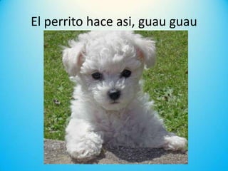 La letra de vengan a ver mi granja | PPTX