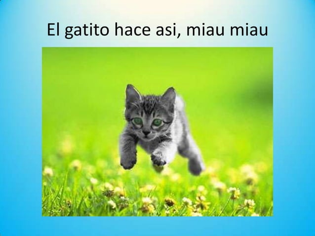 La letra de vengan a ver mi granja | PPTX
