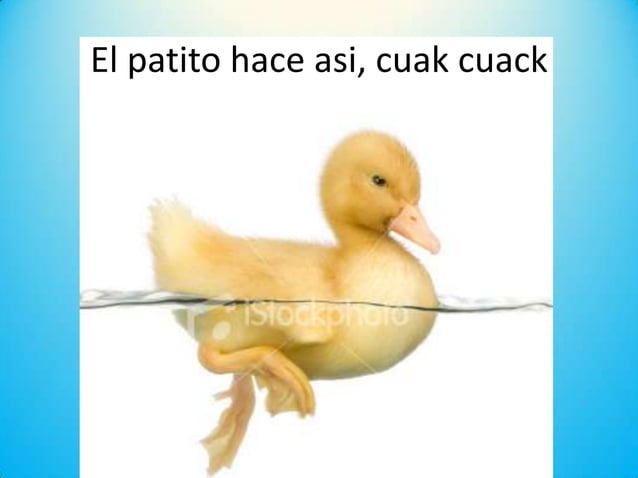 La letra de vengan a ver mi granja | PPTX