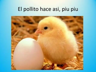 La letra de vengan a ver mi granja | PPTX