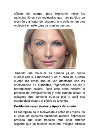 La ley contra la Comida Chatarra en Peru por Pedro Alejandro Reyes ...