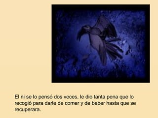La Leyenda Del EspantapáJaros. | PPS