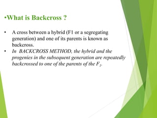 backcross method by LALJI N. GEDIYA | PPTX