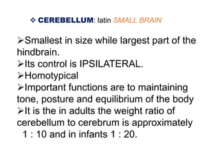 CEREBELLUM- with clinical and radiology | PPTX