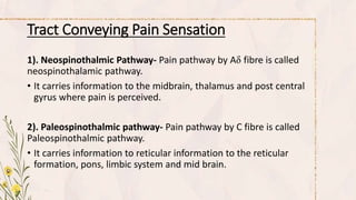 PHYSIOLOGY OF PAIN | PPTX