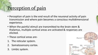 PHYSIOLOGY OF PAIN | PPTX