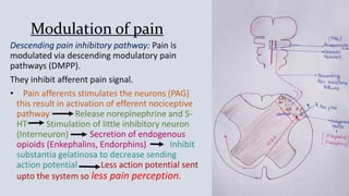 PHYSIOLOGY OF PAIN | PPTX