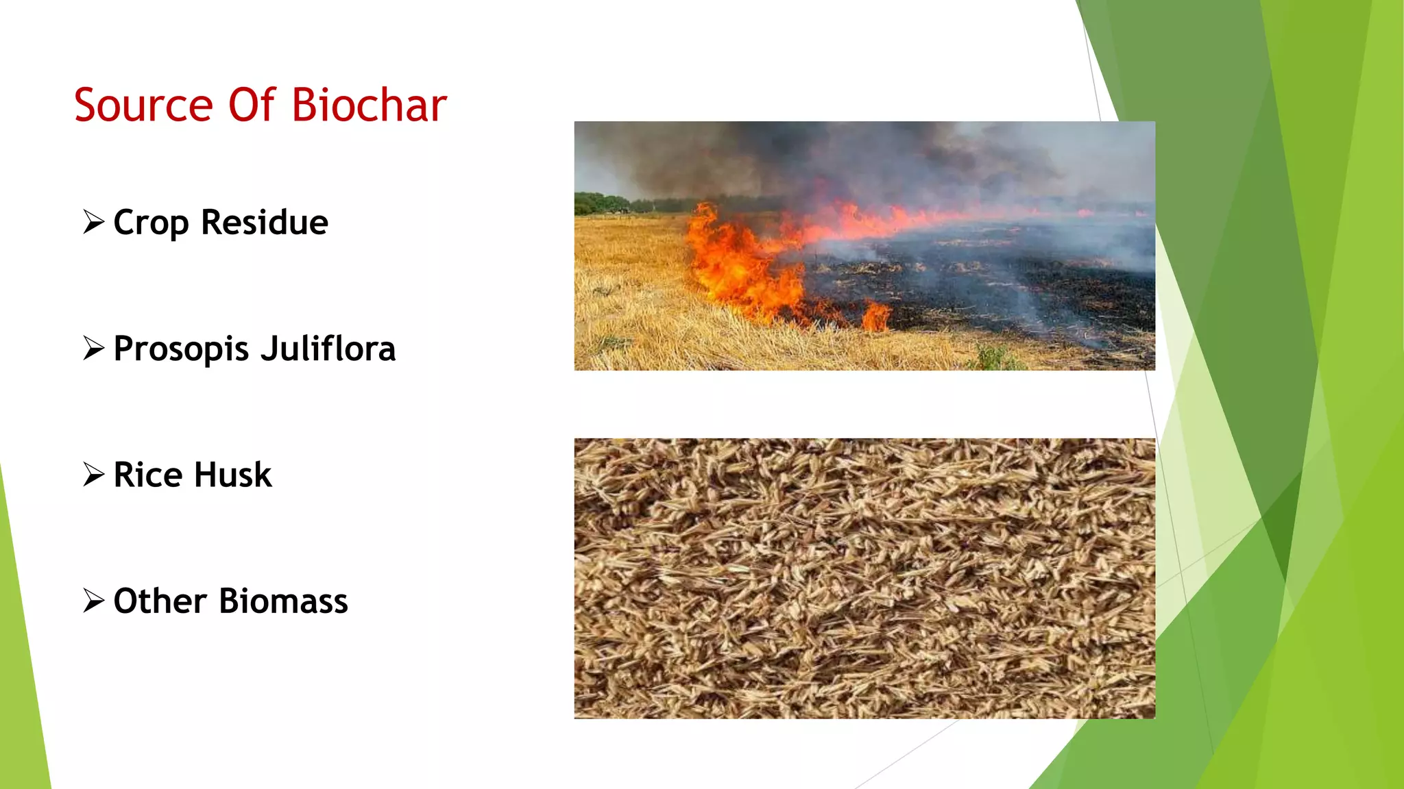 Biochar | PPTX