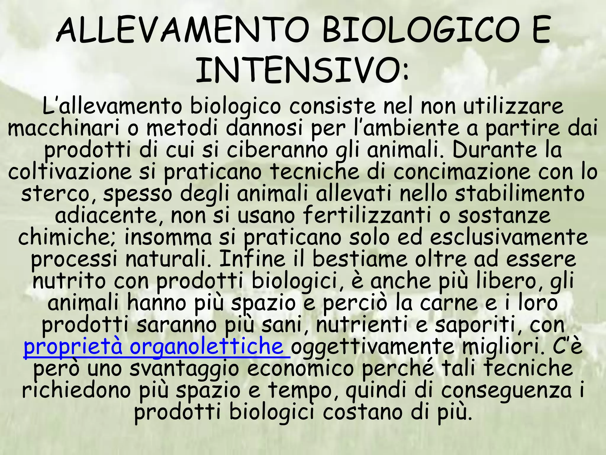 L’ allevamento | PPTX