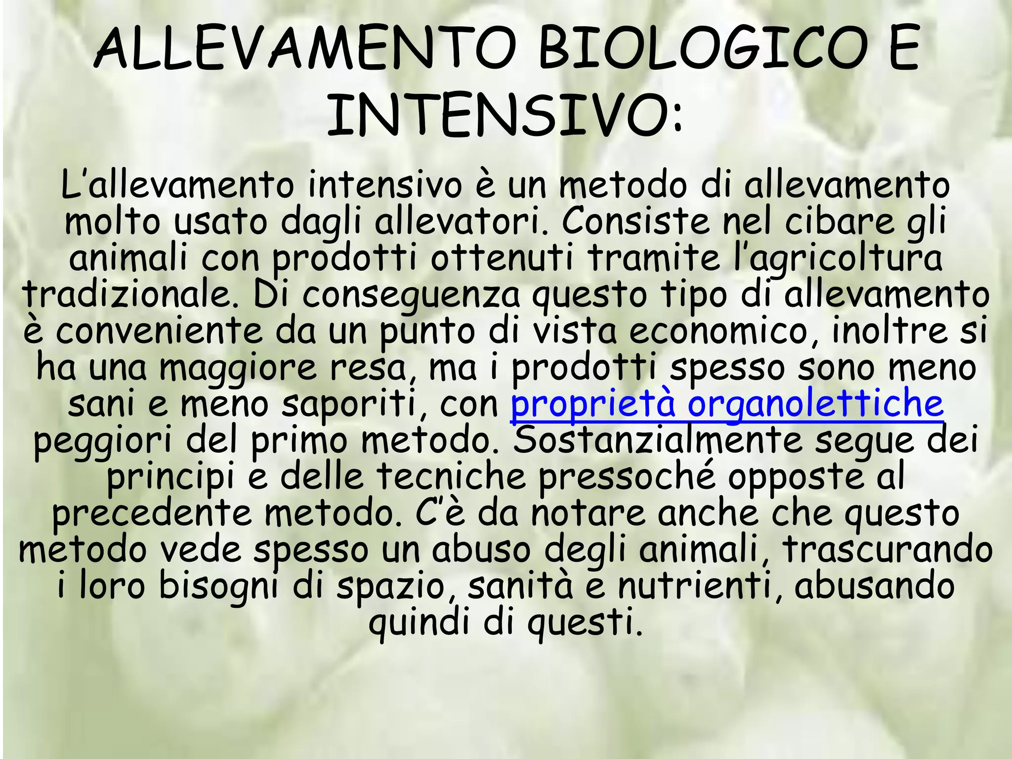 L’ allevamento | PPTX