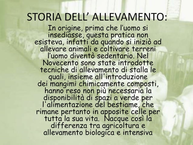 L’ allevamento | PPTX