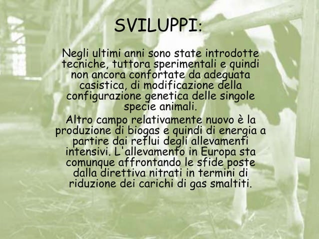 L’ allevamento | PPTX