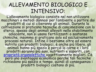 L’ allevamento | PPTX