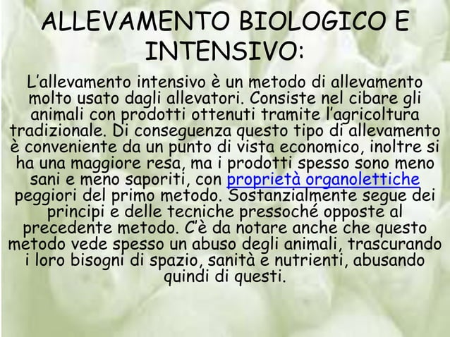 L’ allevamento | PPTX