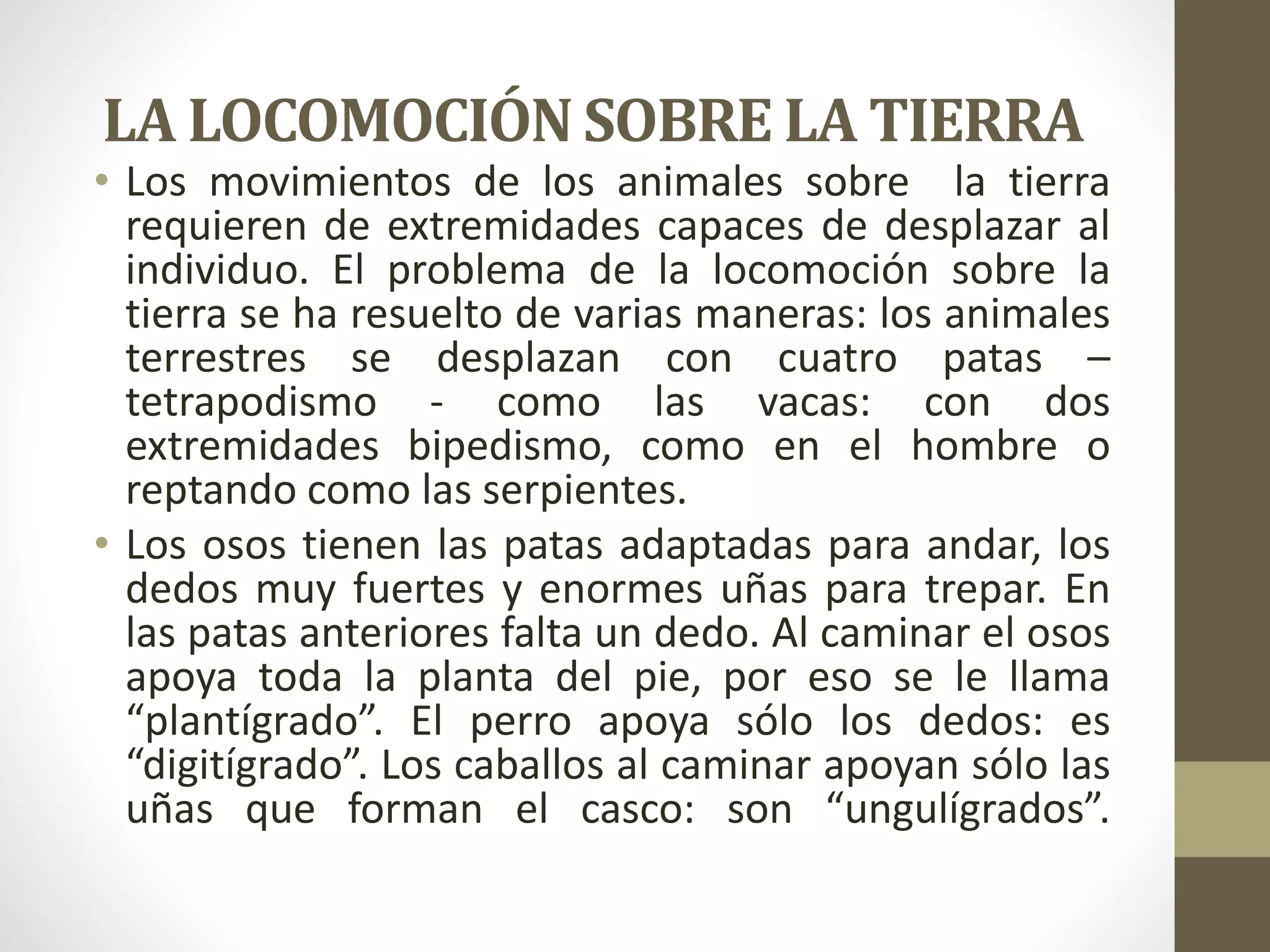 La locomoción de los vertebrados | PPTX