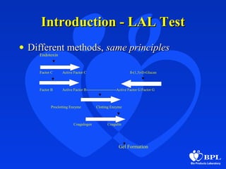 Lal presentation | PPT