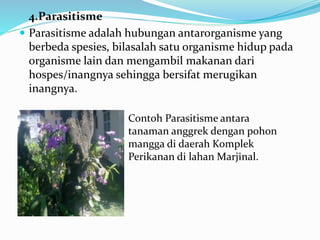 intraksi makhluk hidup | PPTX