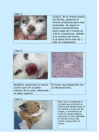 La luz uv. y el carcinoma epidermoide en los gatos | PDF