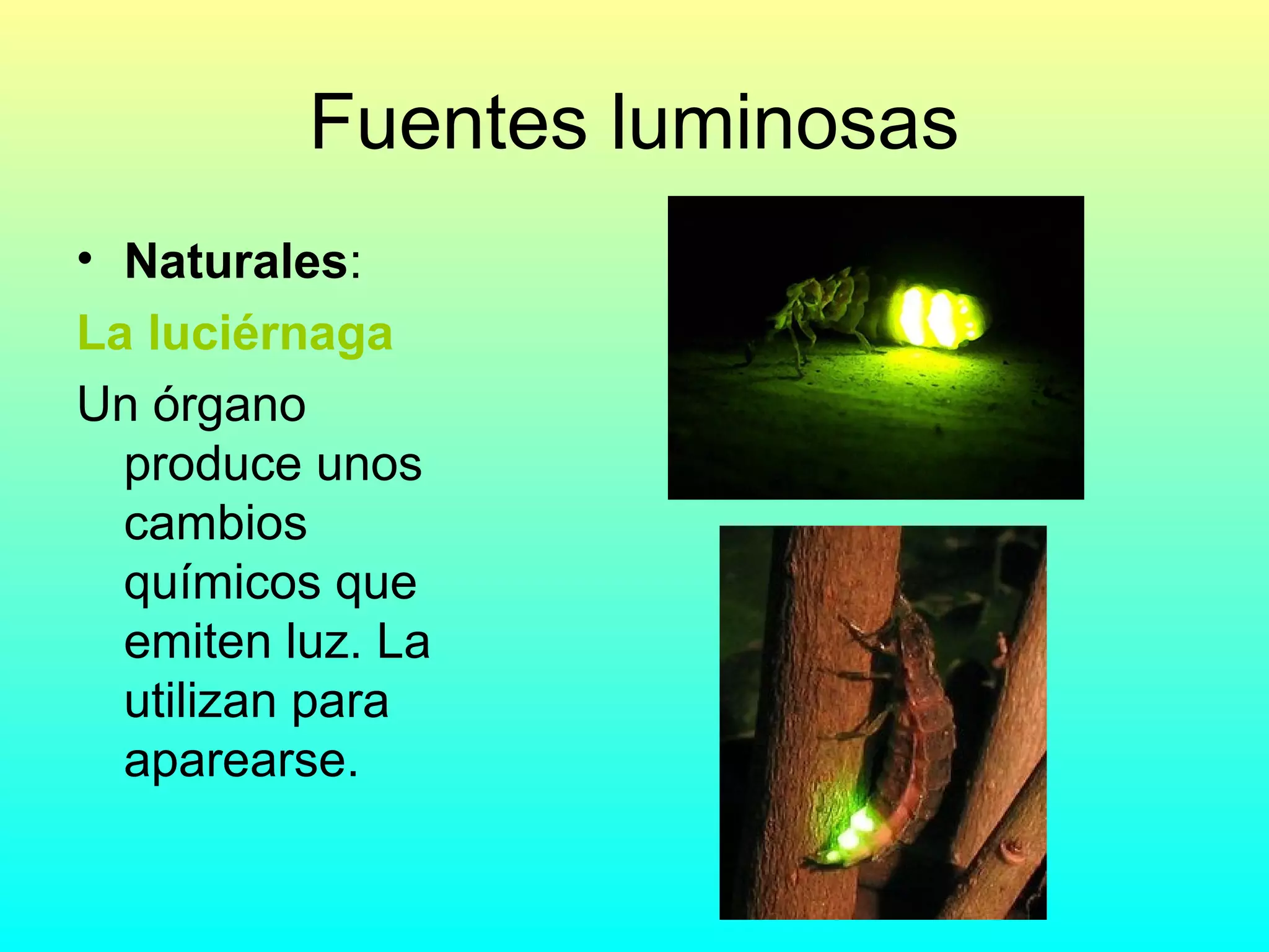 La luz y el sonido | PPT | Eye and Vision Conditions | Diseases and ...
