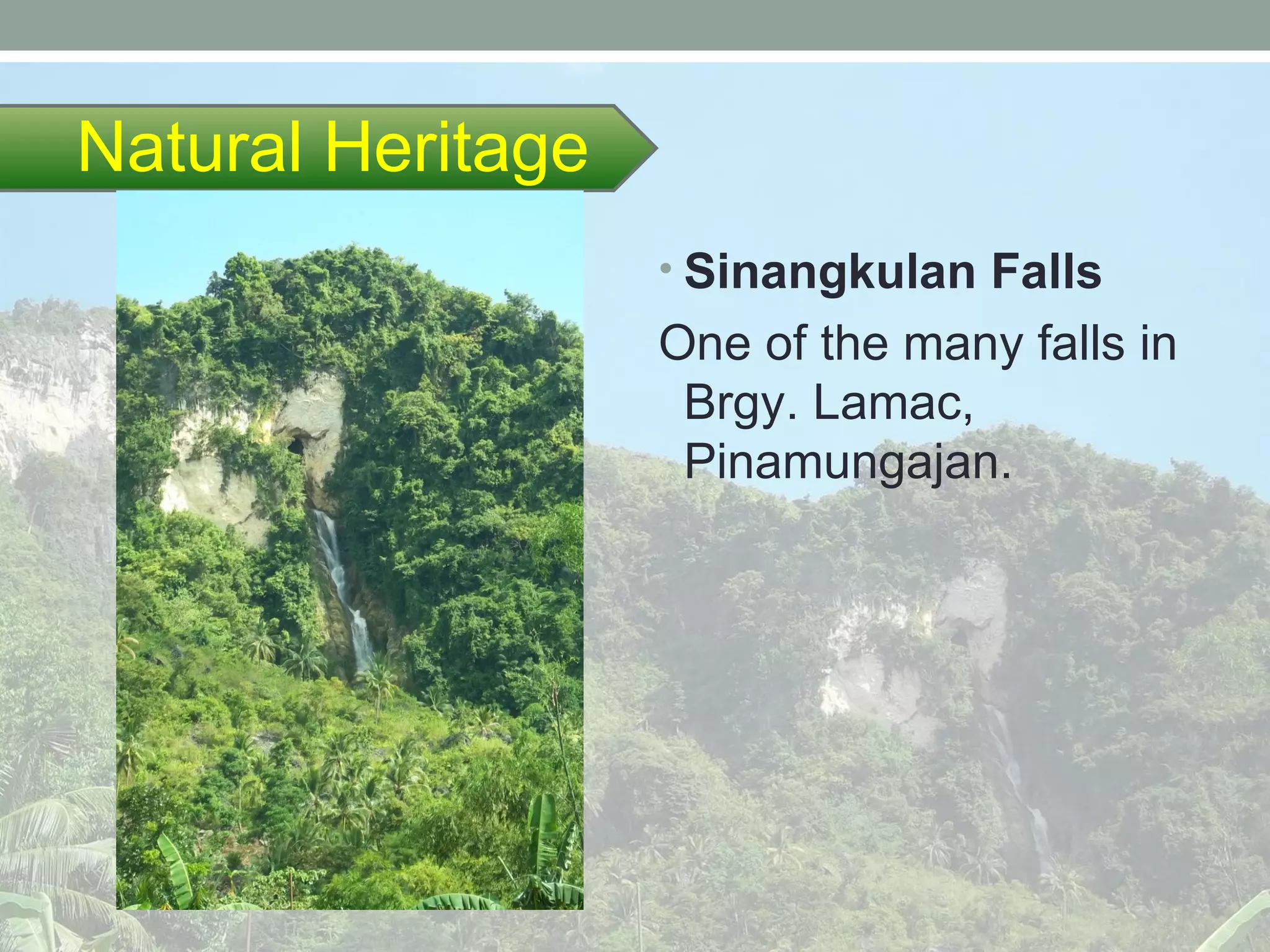 Brgy. Lamac, Pinamungajan, Cebu | PPT