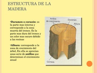 La Madera | PPT