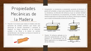 La madera | PDF | Woodworking | Arts and Crafts