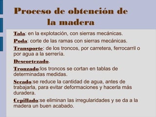 La madera 1 eso | PPT