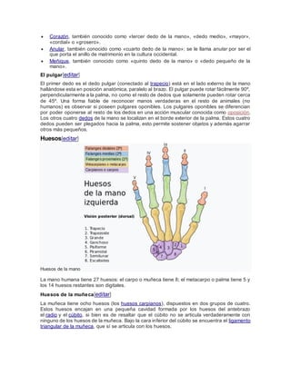 La mano | DOCX