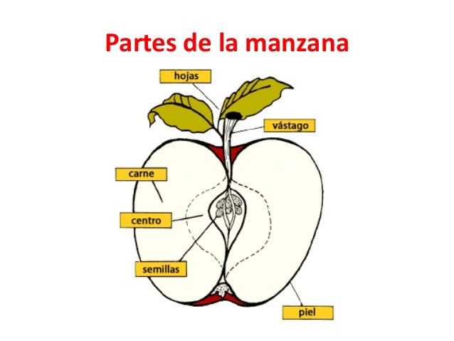La manzana