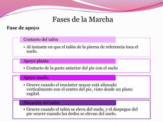 La marcha | PPTX