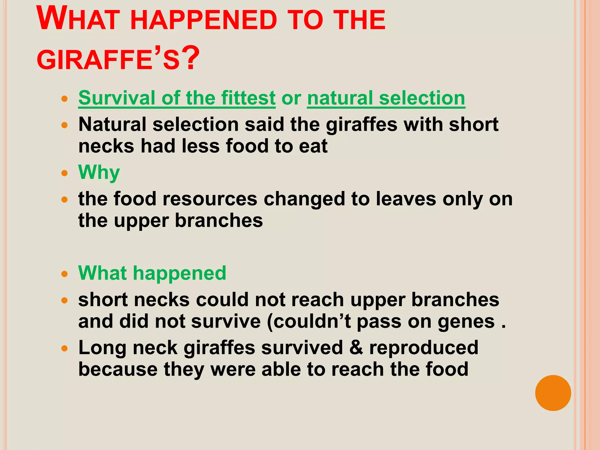 Theory of evolution : Lamarck and darwin | PPTX