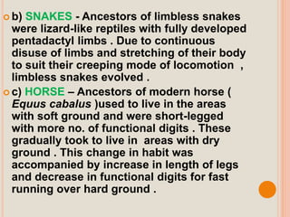 Theory of evolution : Lamarck and darwin | PPTX