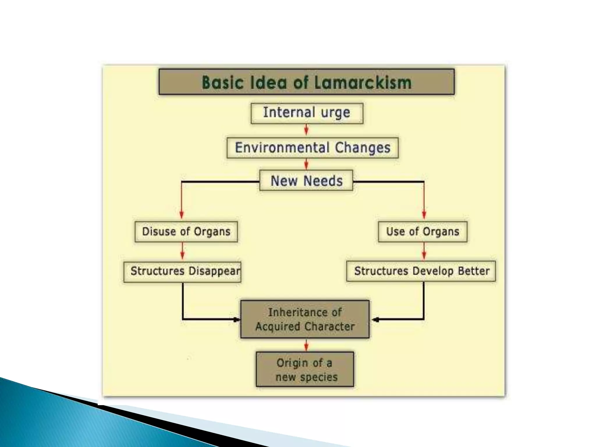 Lamarckism and neolamarkism | PPT